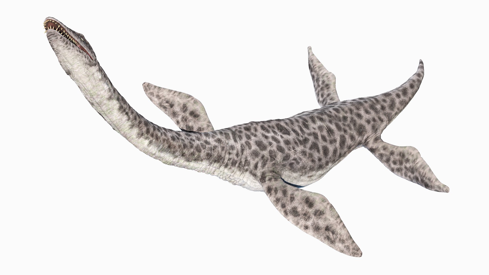 Plesiosaurus 3D - TurboSquid 1664130