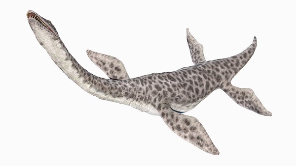 Plesiosaurus 3D - TurboSquid 1664130
