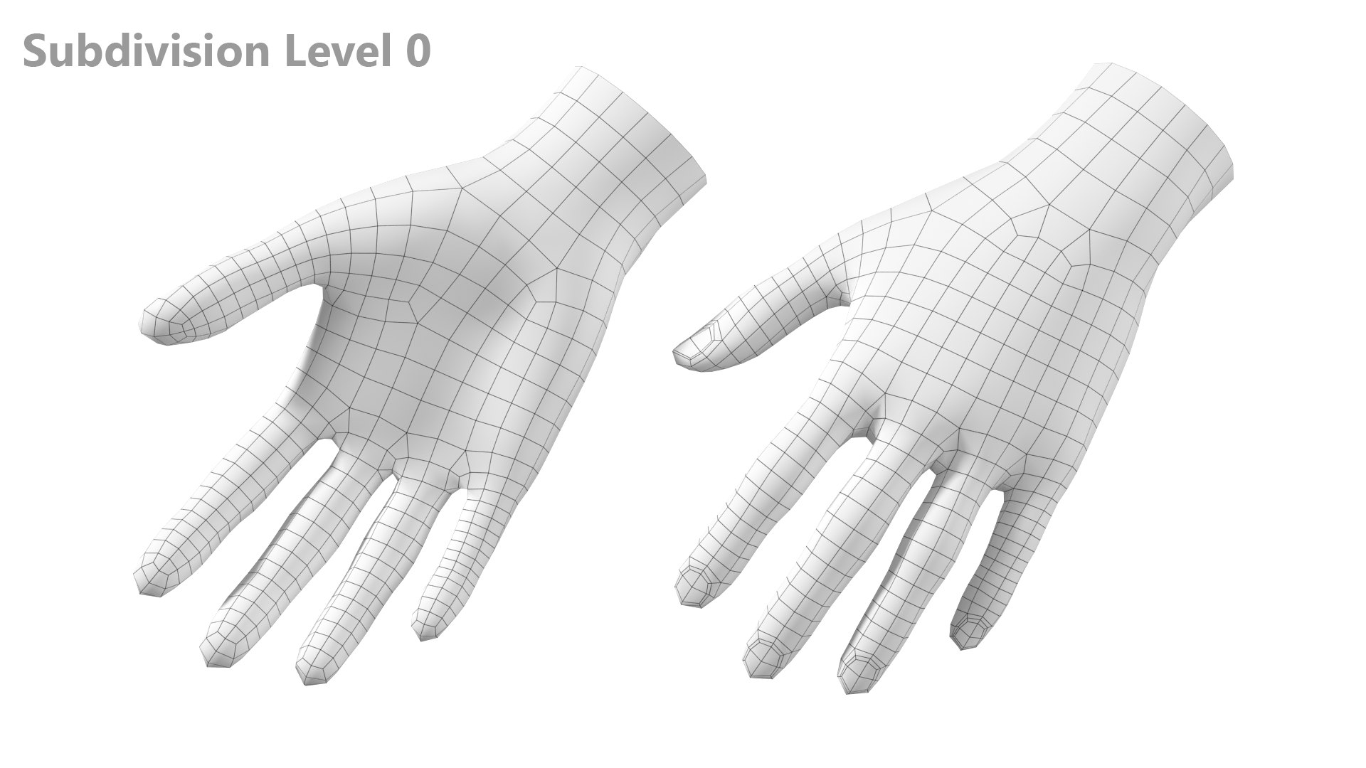 Female Hand Base Mesh 04 3D Model - TurboSquid 2182606