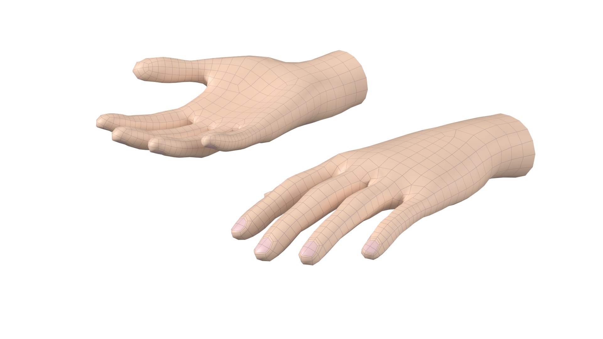 Female Hand Base Mesh 04 3D model - TurboSquid 2182606