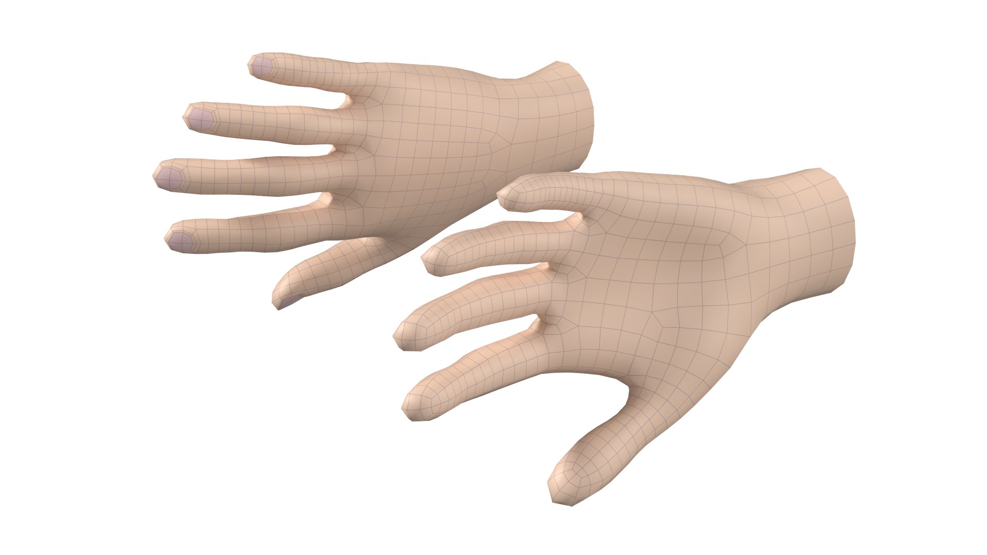 Female Hand Base Mesh 04 3D model - TurboSquid 2182606
