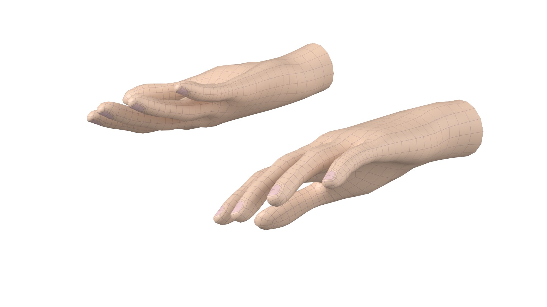 Female Hand Base Mesh 04 3D Model - TurboSquid 2182606