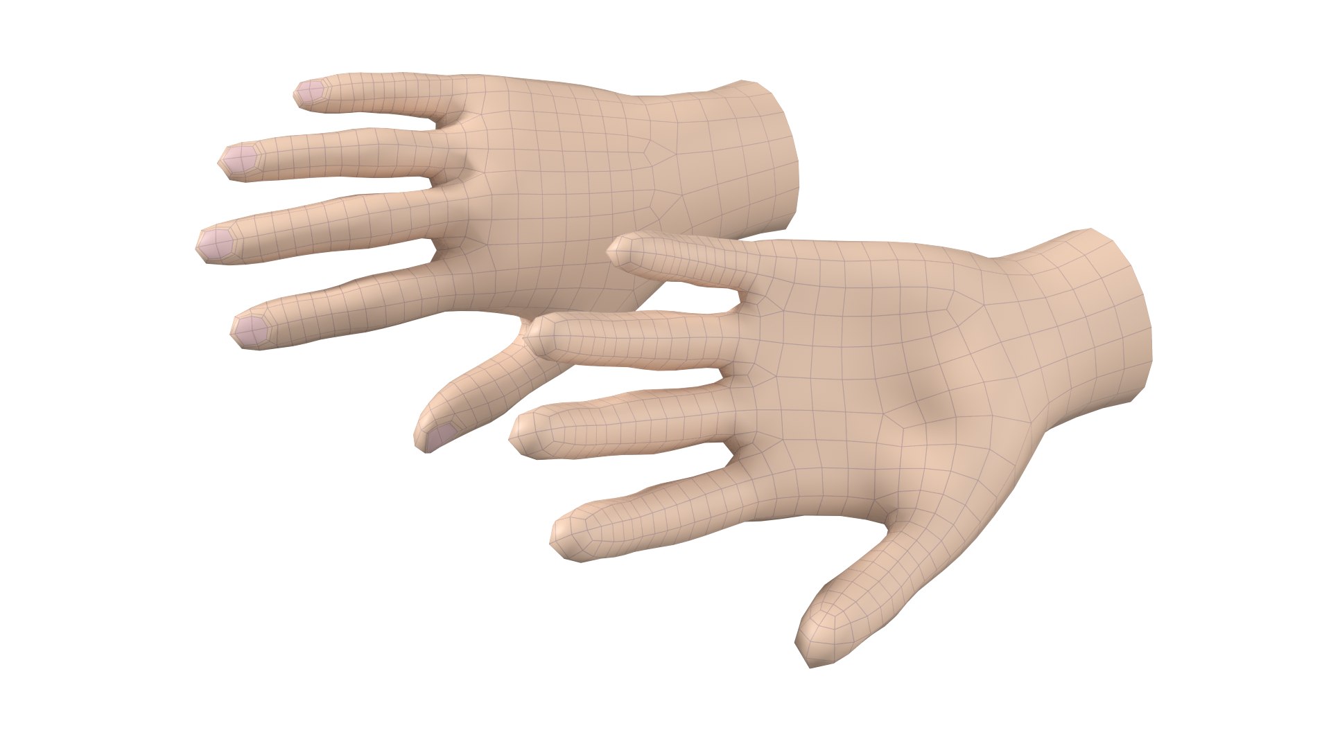 Female Hand Base Mesh 04 3D model - TurboSquid 2182606