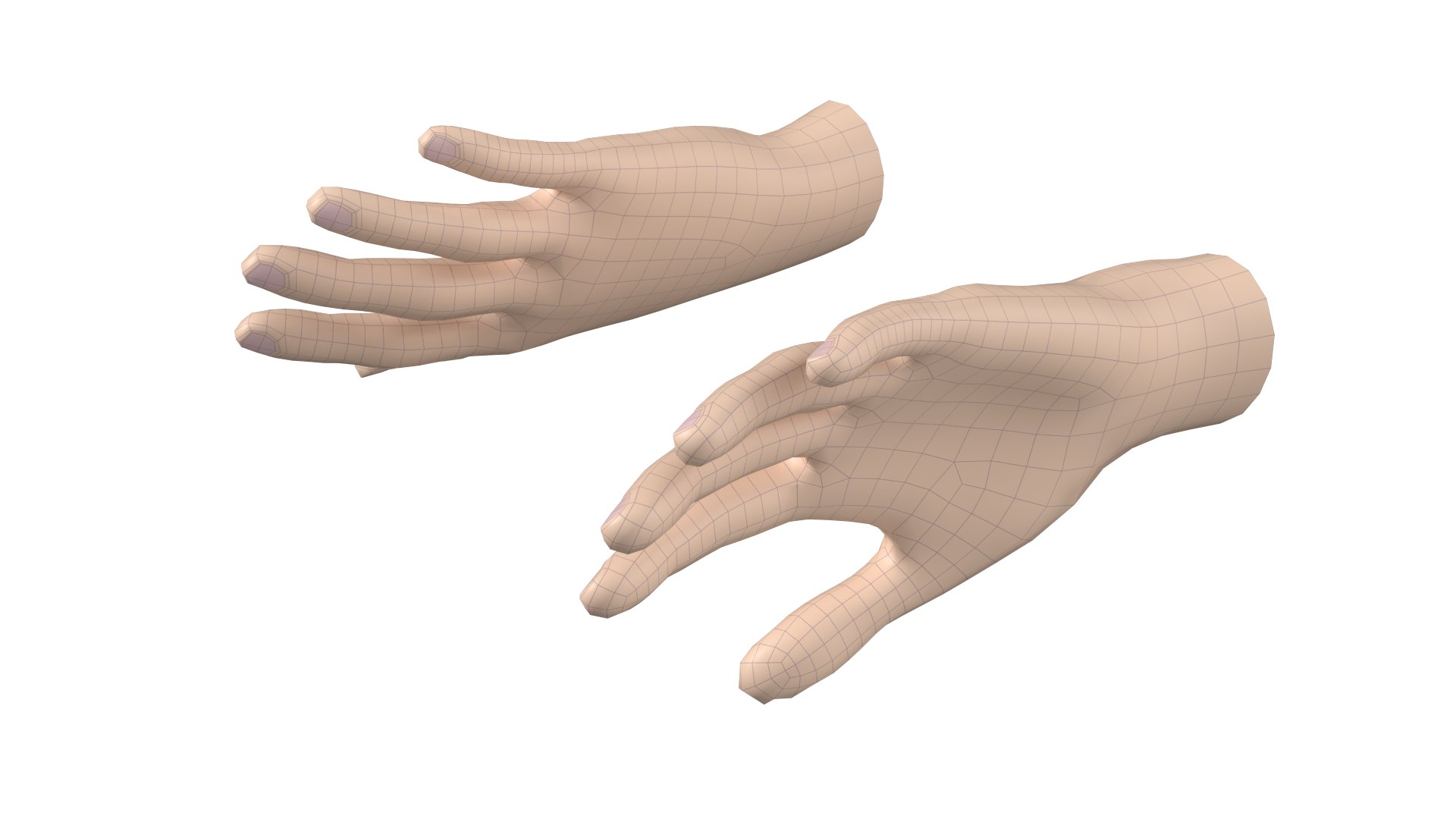 Female Hand Base Mesh 04 3D model - TurboSquid 2182606