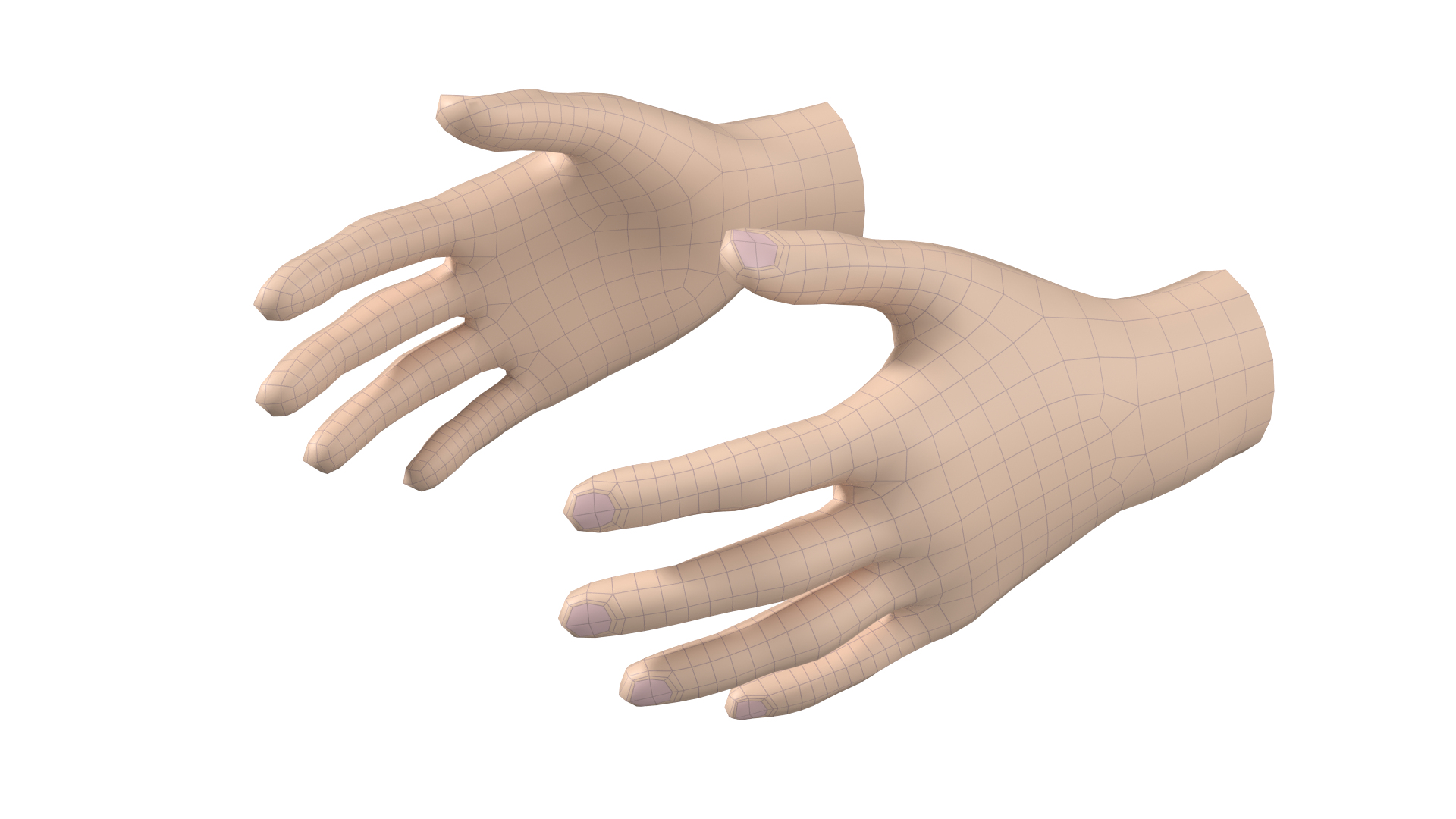 Female Hand Base Mesh 04 3D Model - TurboSquid 2182606