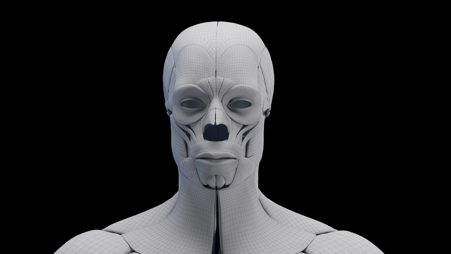 Human Male Muscles Static 3D - TurboSquid 2014017