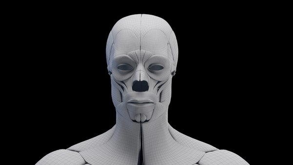modelo 3d Músculos masculinos humanos estáticos - TurboSquid 2014017