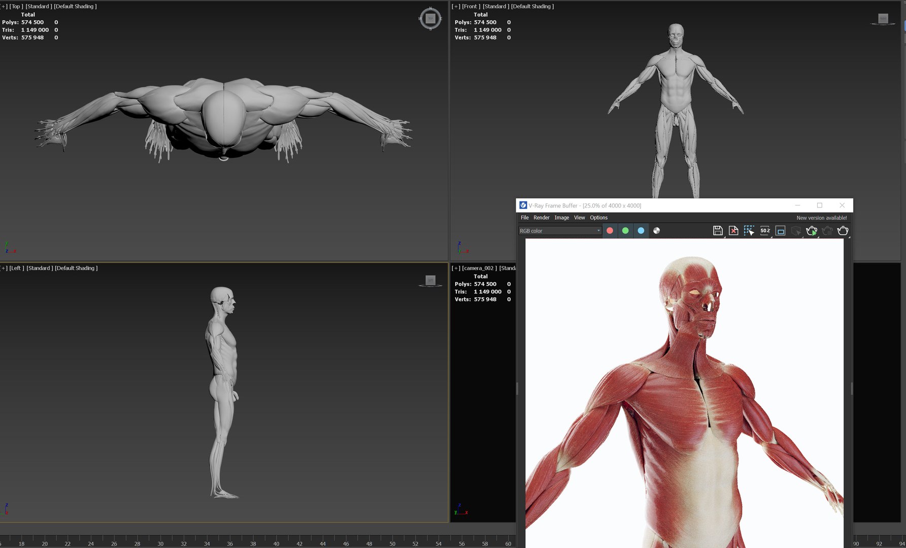 Human Male Muscles Static 3D - TurboSquid 2014017