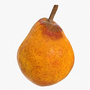 Pear Blender Models for Download | TurboSquid