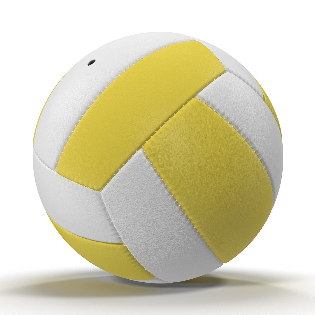 Max Volleyball Ball 3