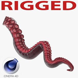 Download Free & Premium Cartoon Octopus 3D Models | TurboSquid