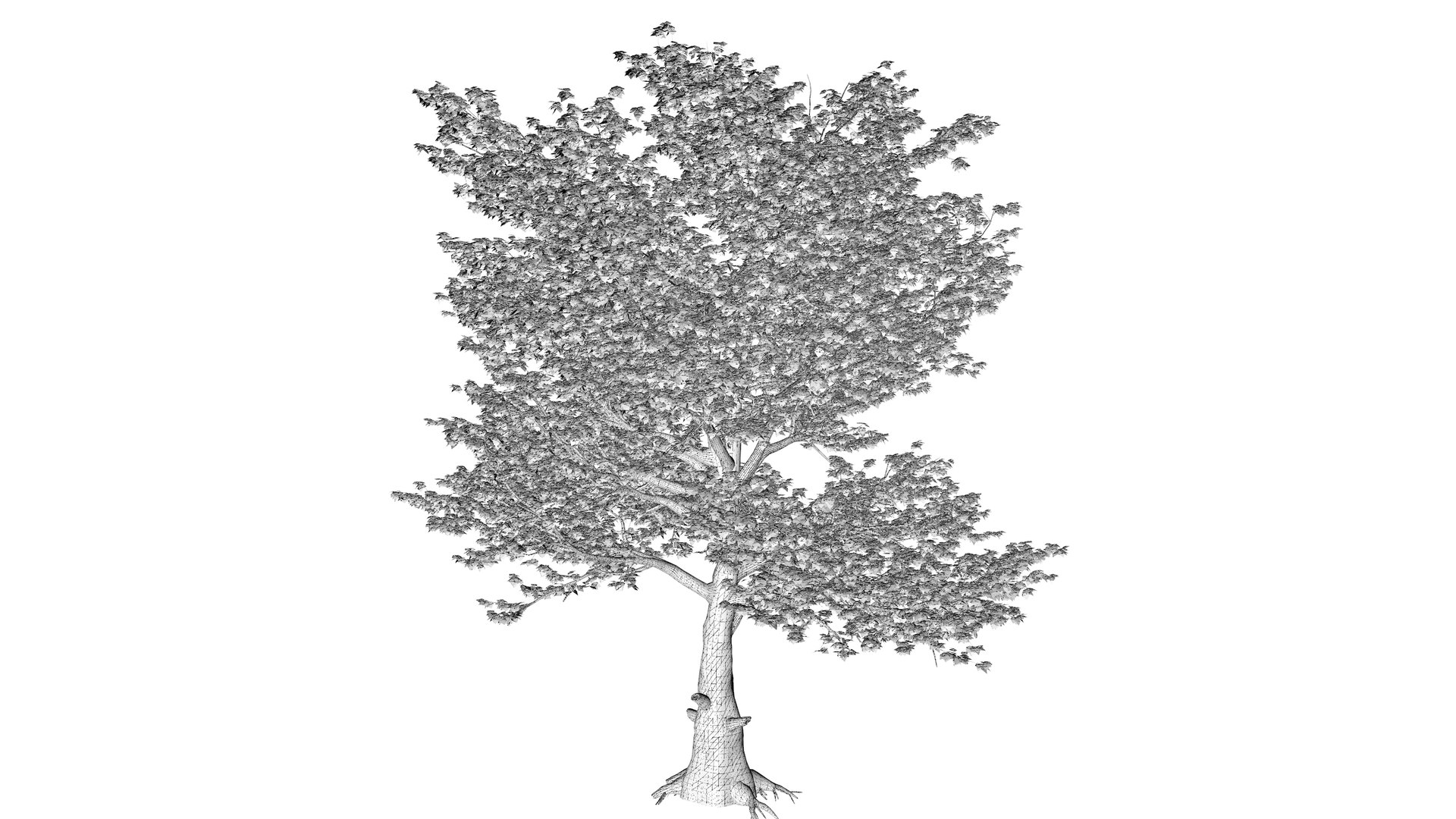 3D Trees Pack 01 - TurboSquid 1354811