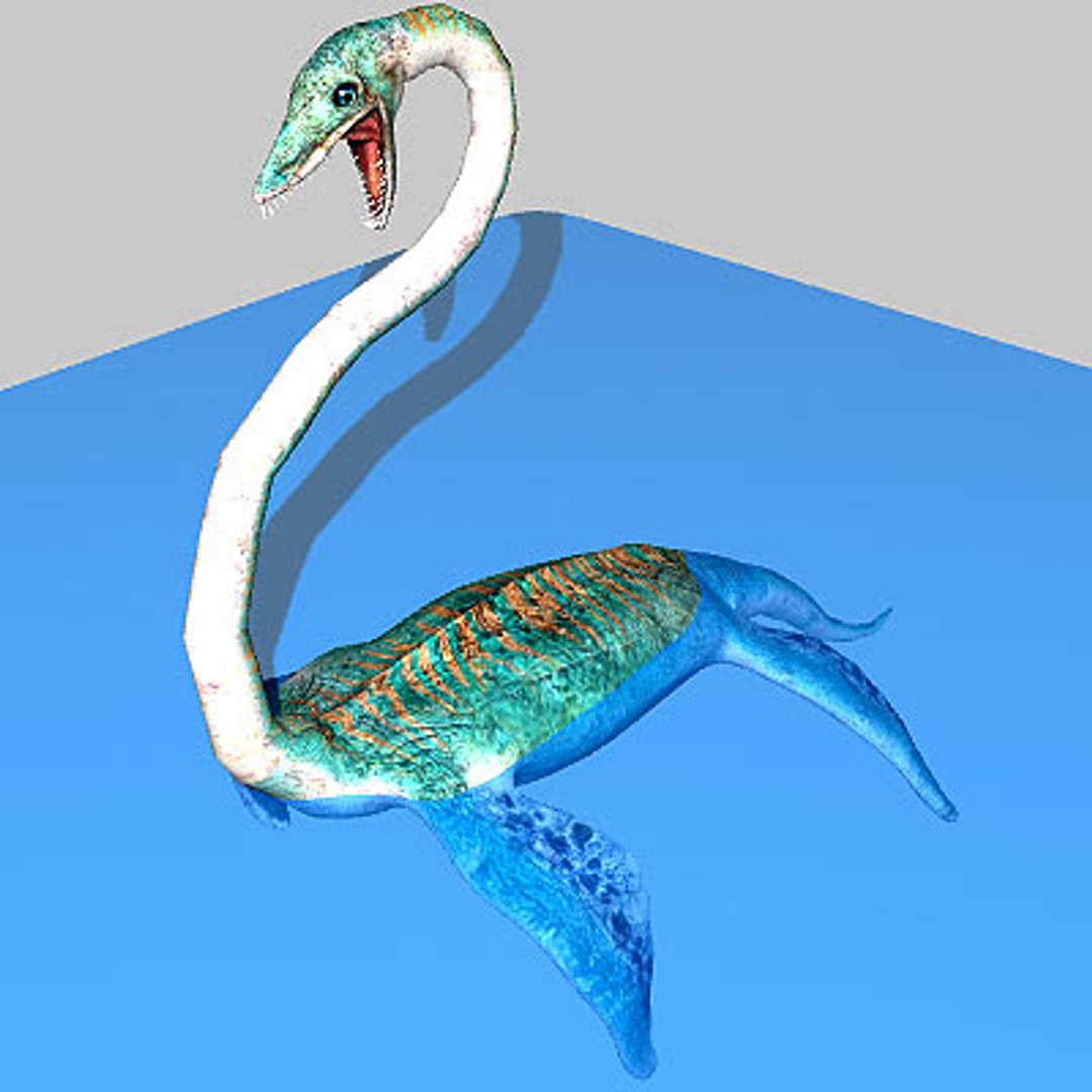 Plesiosaur Animations 3d Model