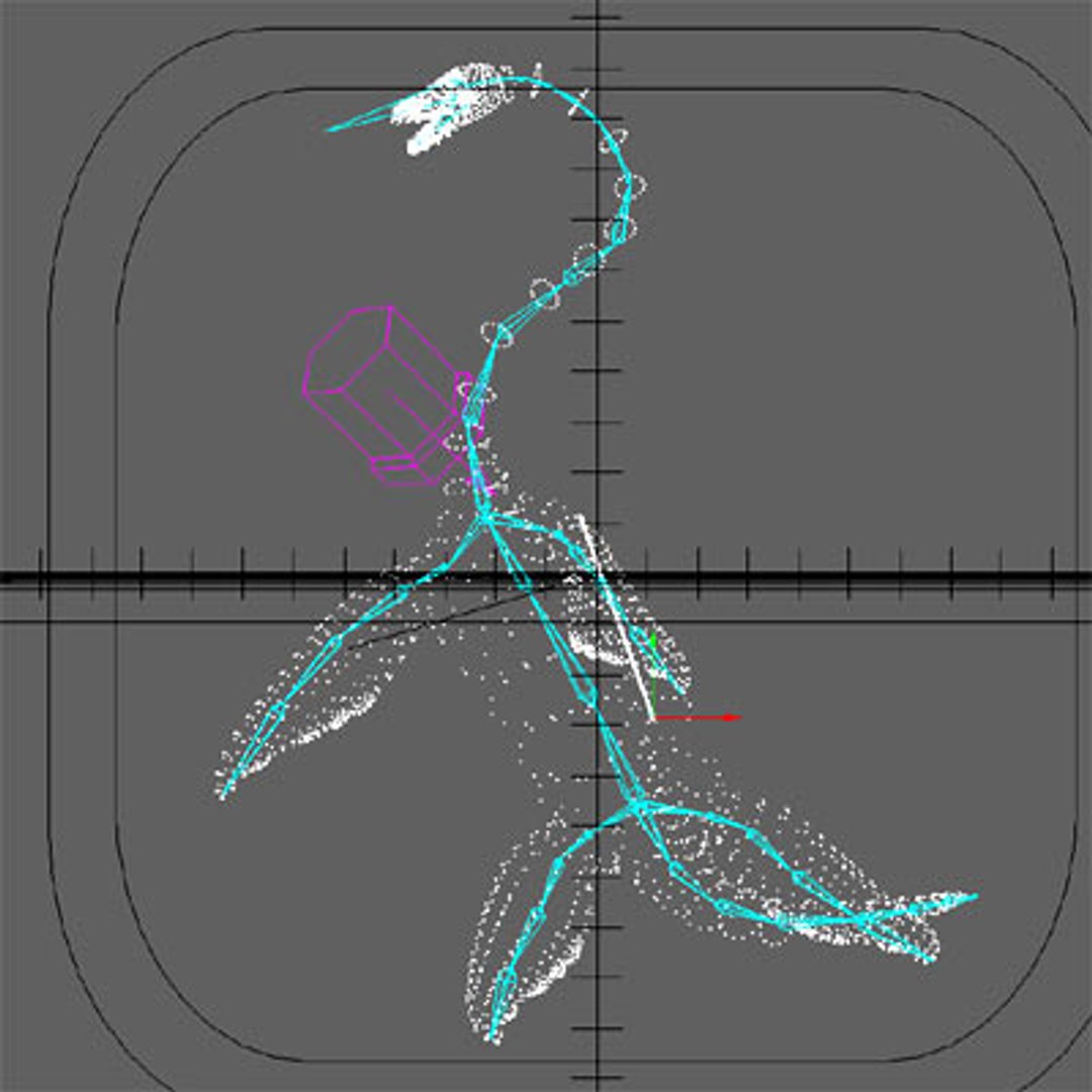 Plesiosaur Animations 3d Model