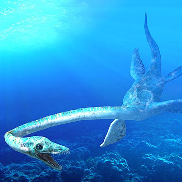 plesiosaur animations 3d model