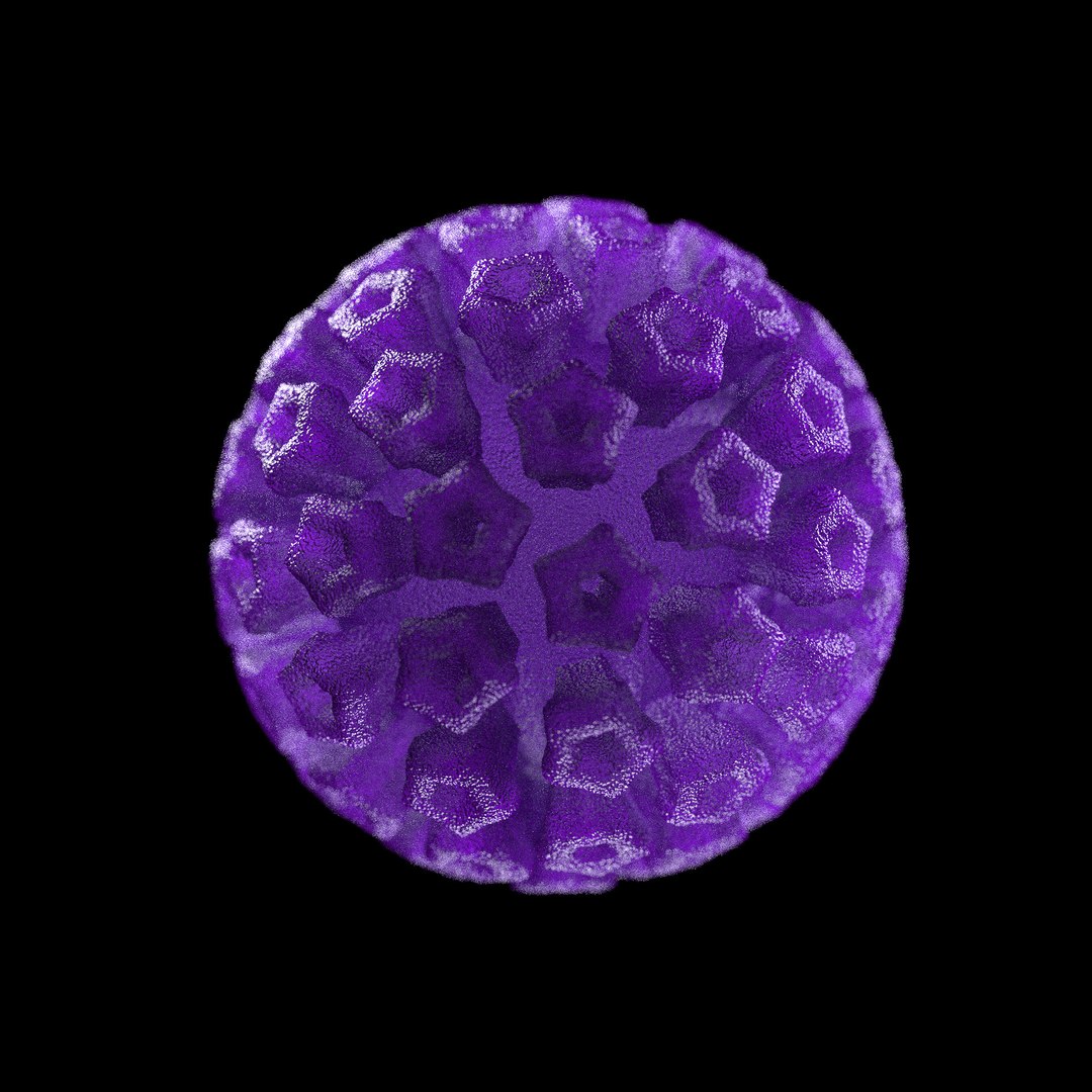 3D microbes micro bacteria cells model - TurboSquid 1626076