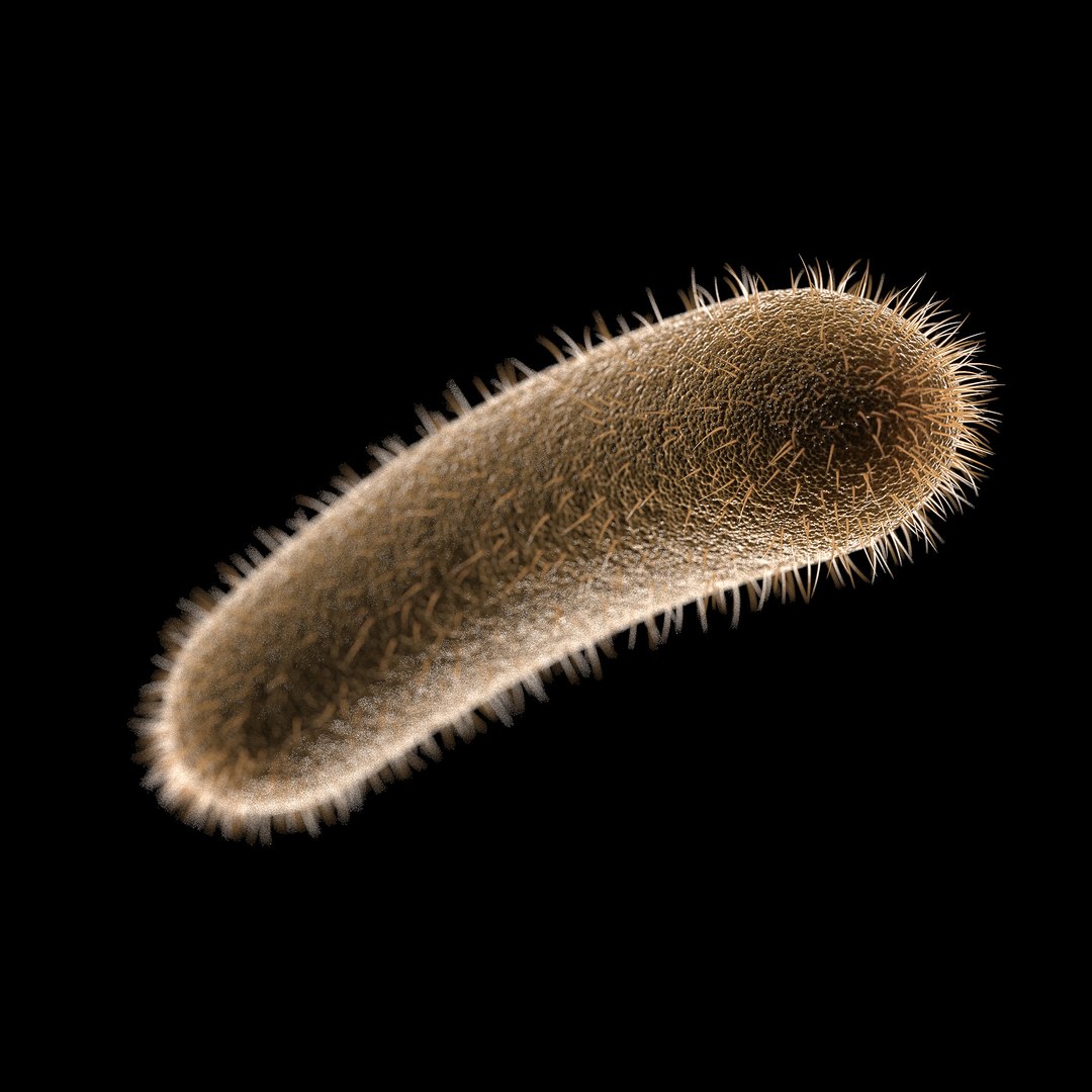 3D Microbes Micro Bacteria Cells Model - TurboSquid 1626076