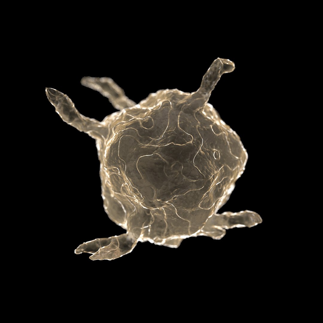 3D microbes micro bacteria cells model - TurboSquid 1626076