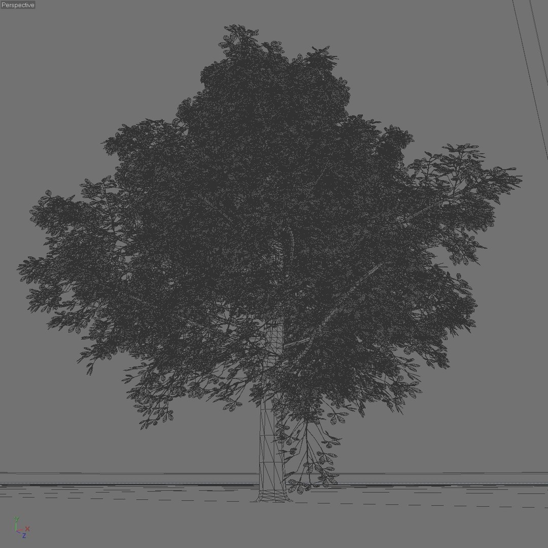 3d plane tree model
