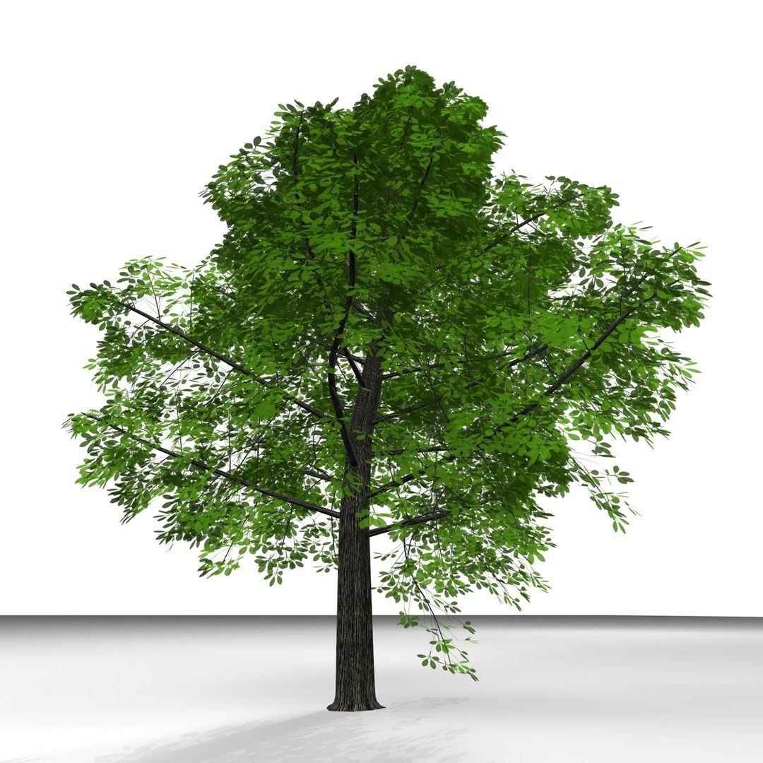 3d plane tree model