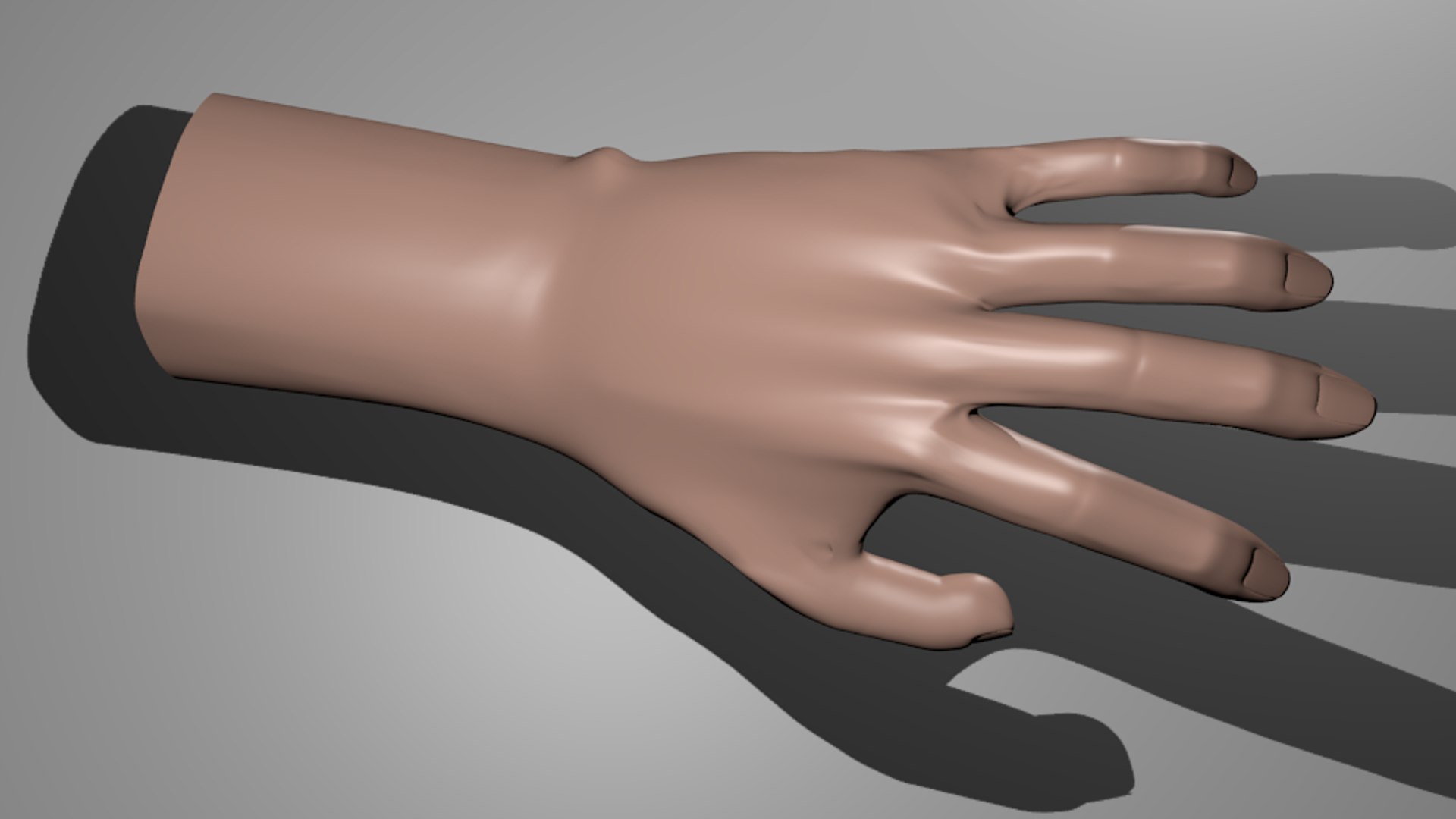 3d Hand Rigged Model