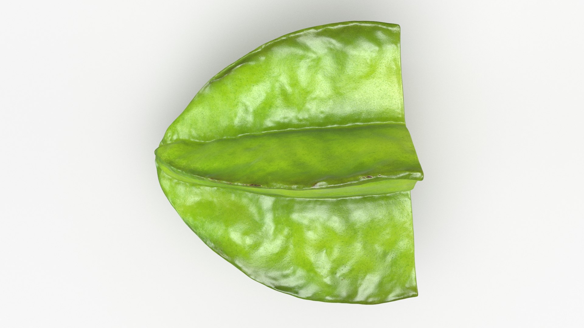 Half Cut Star Fruit 3D Model - TurboSquid 1750011