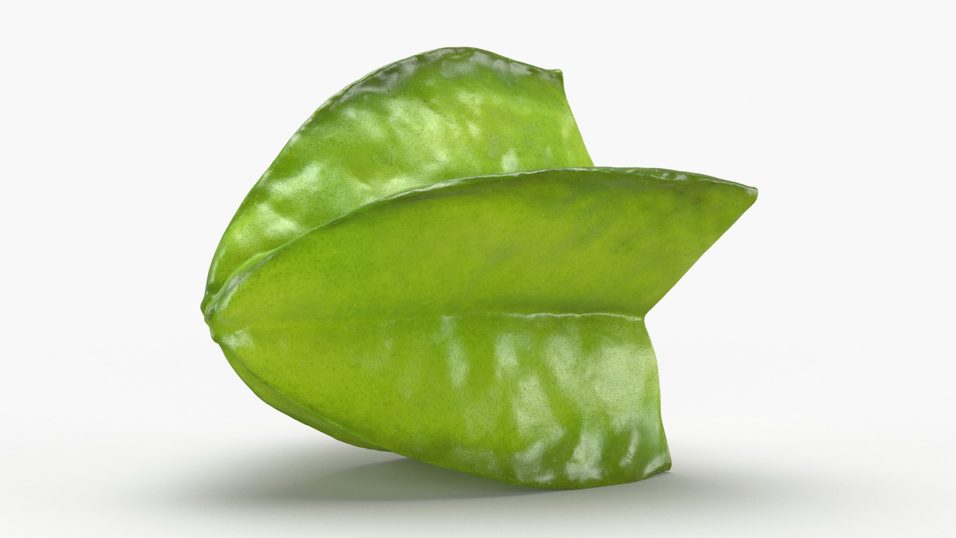 Half Cut Star Fruit 3D Model - TurboSquid 1750011