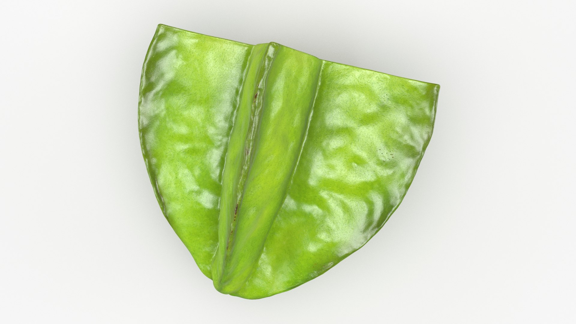Half Cut Star Fruit 3D Model - TurboSquid 1750011