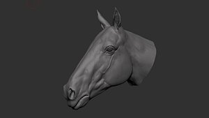 3D Horse Head Models - Browse & Download Formats - TurboSquid