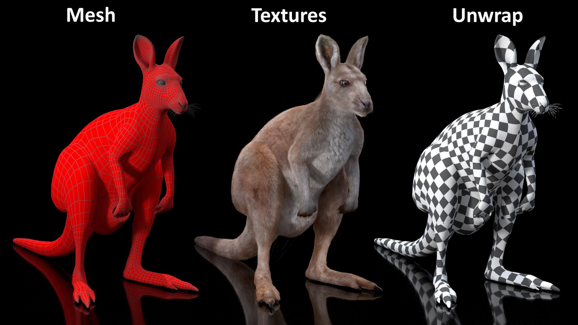 Female Kangaroo Fur 3D Model - TurboSquid 2250230