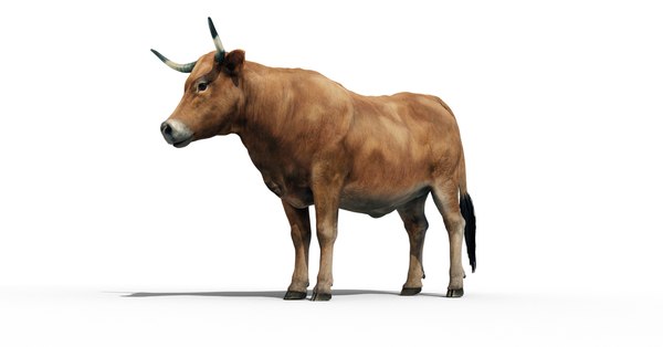 modelo 3d Cattle Steer Cow Bull Rigged Animation - TurboSquid 2014176