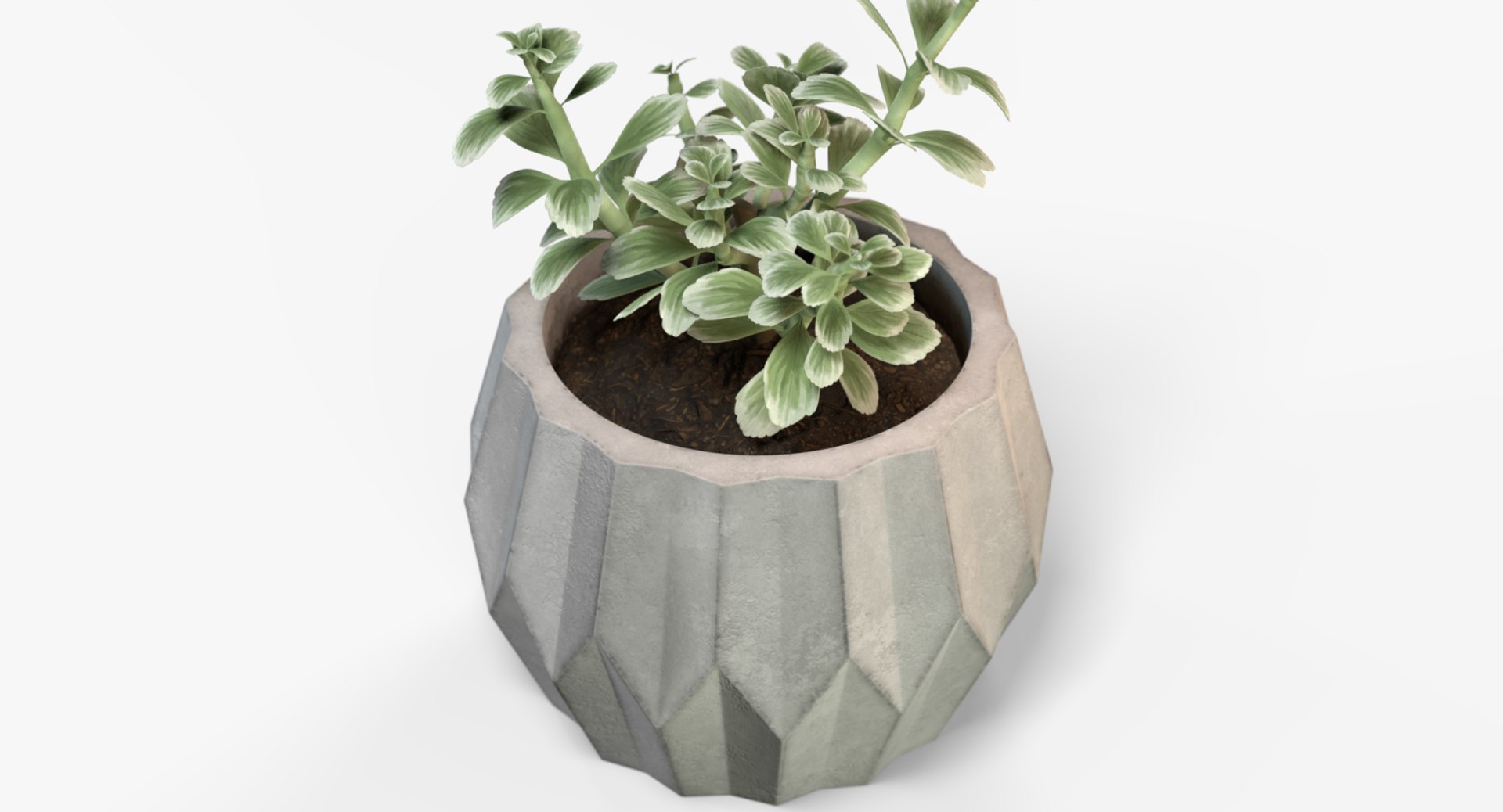 Plant Geometric Pot 3D Model - TurboSquid 1376171