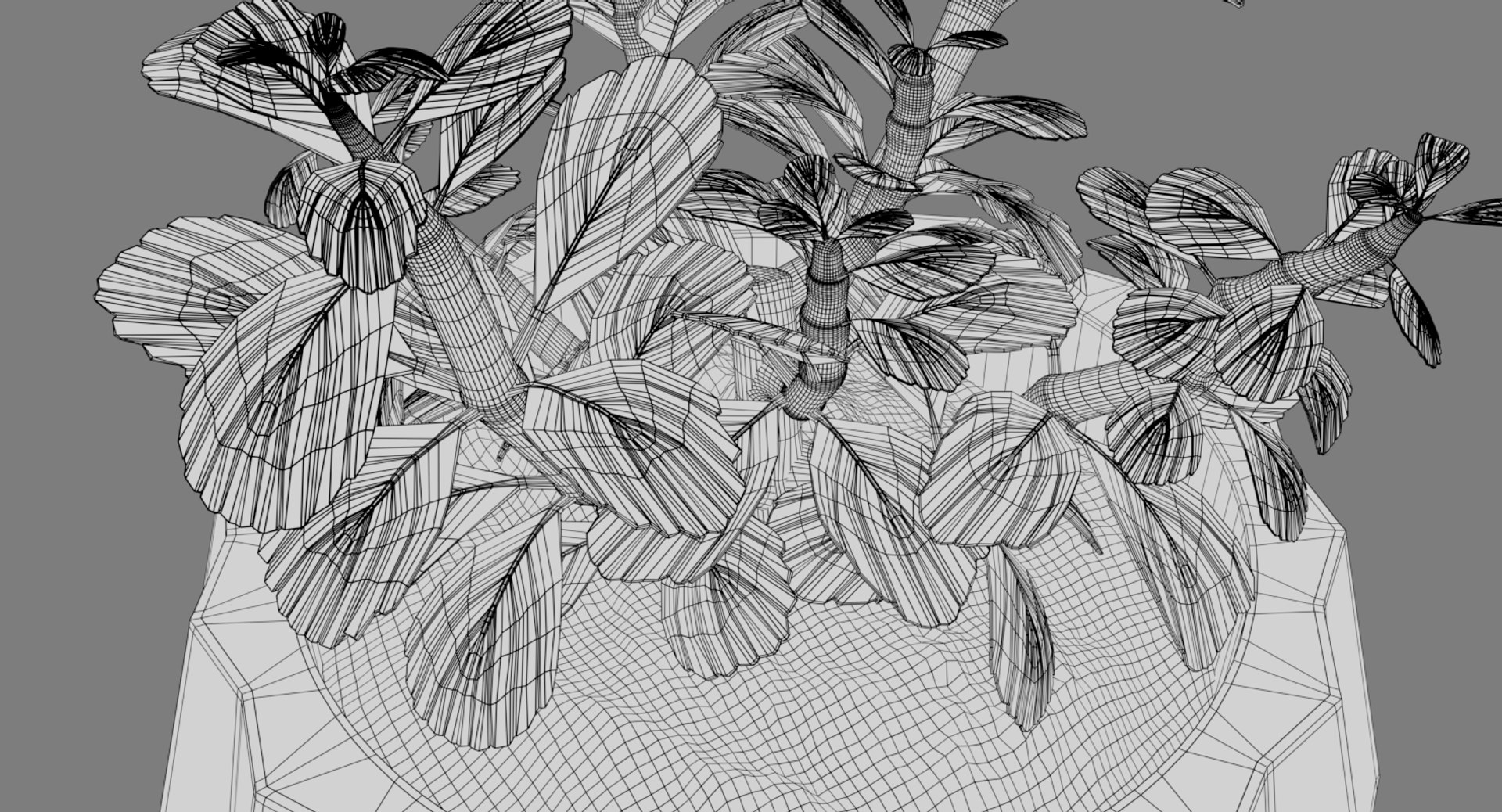 Plant Geometric Pot 3D Model - TurboSquid 1376171