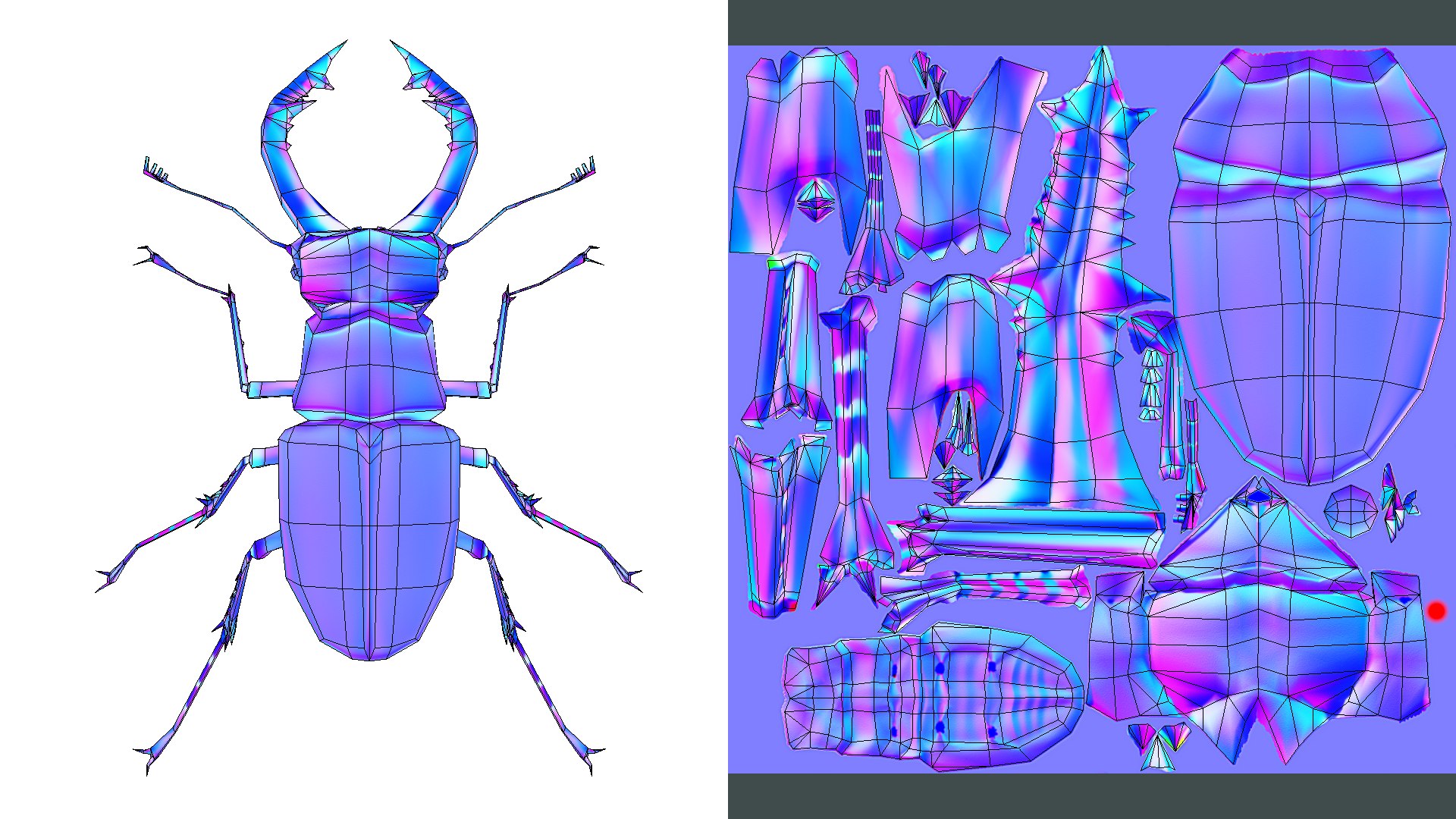 3d model bug