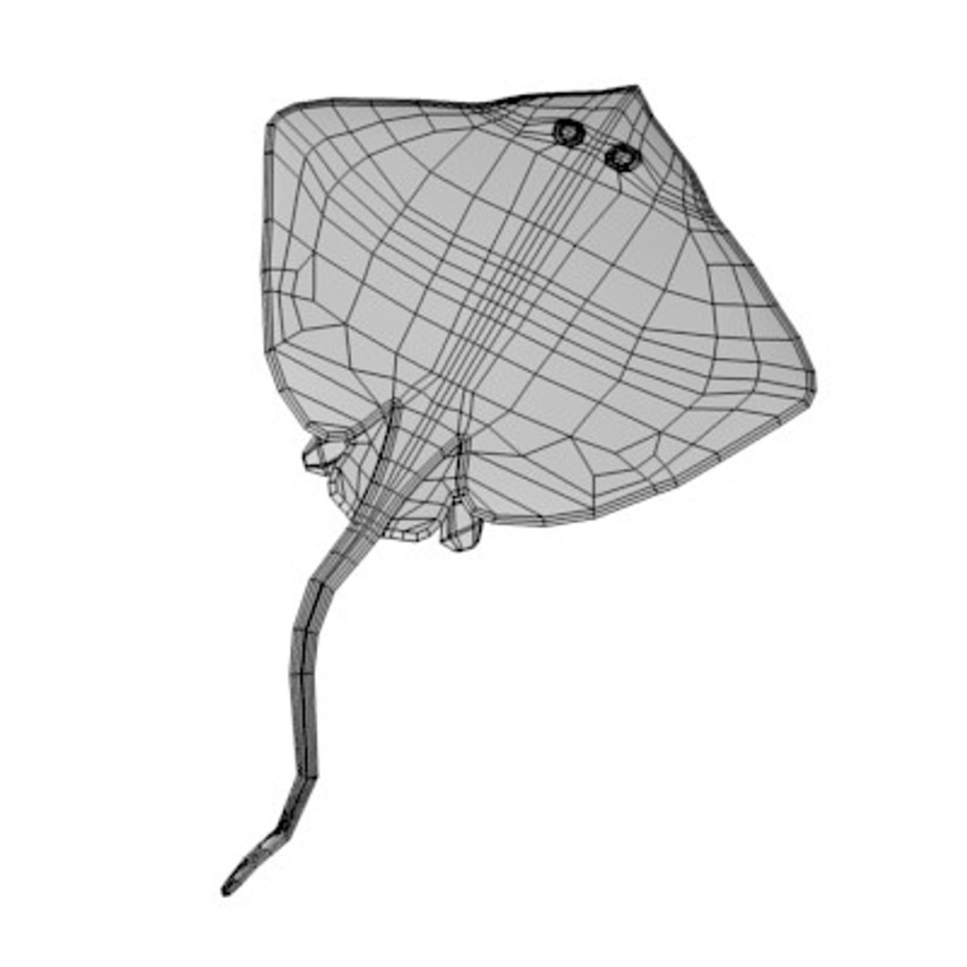 3d stingray sting model