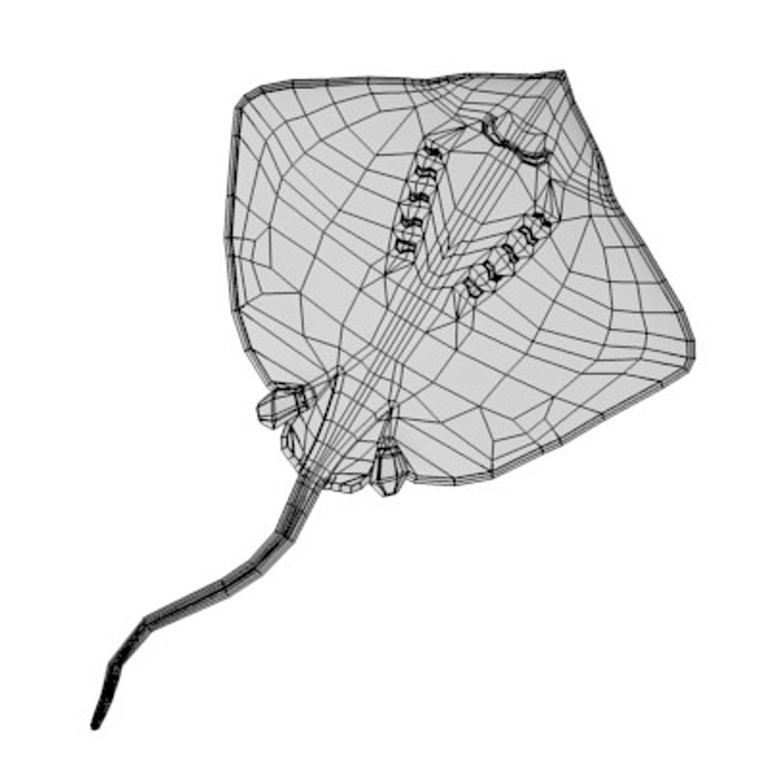 3d stingray sting model
