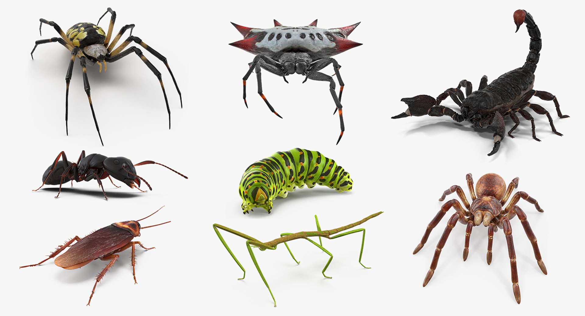 Creeping insects 2 3D model - TurboSquid 1571349