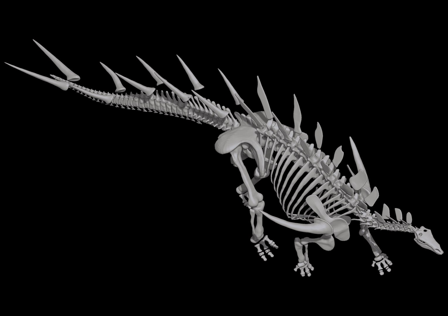 3D Kentrosaurus Skeleton Dinosaur - TurboSquid 1254077
