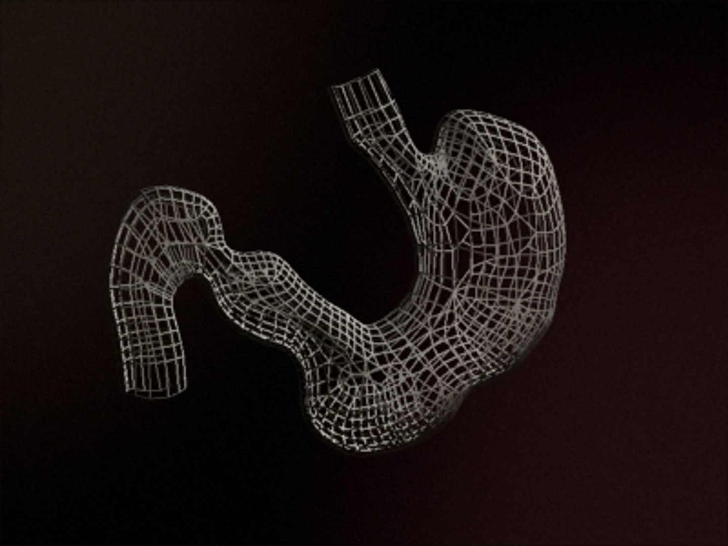 3d realistic stomach model