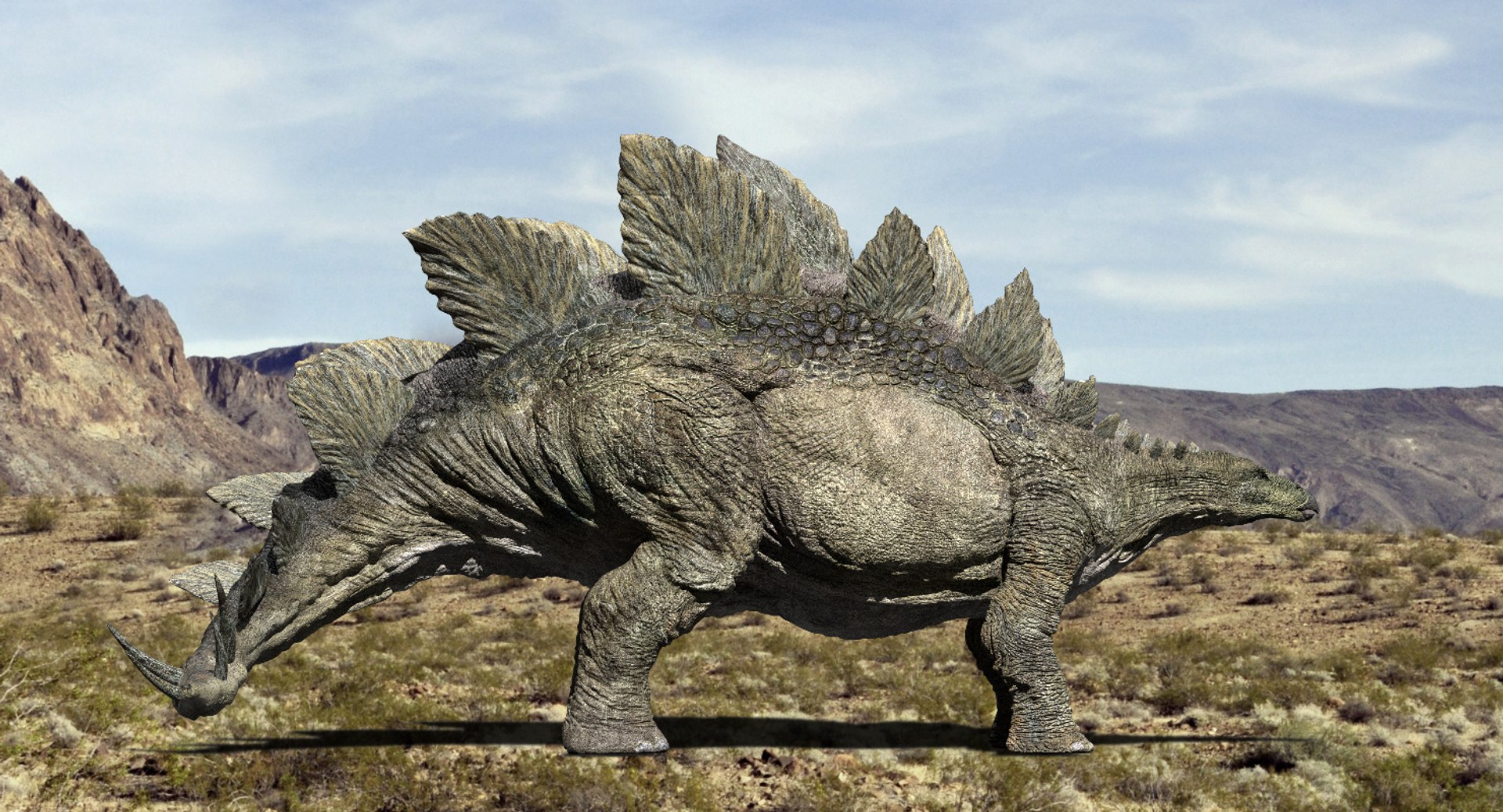 Stegosaurus Rigged Stego 3D Model - TurboSquid 1310852