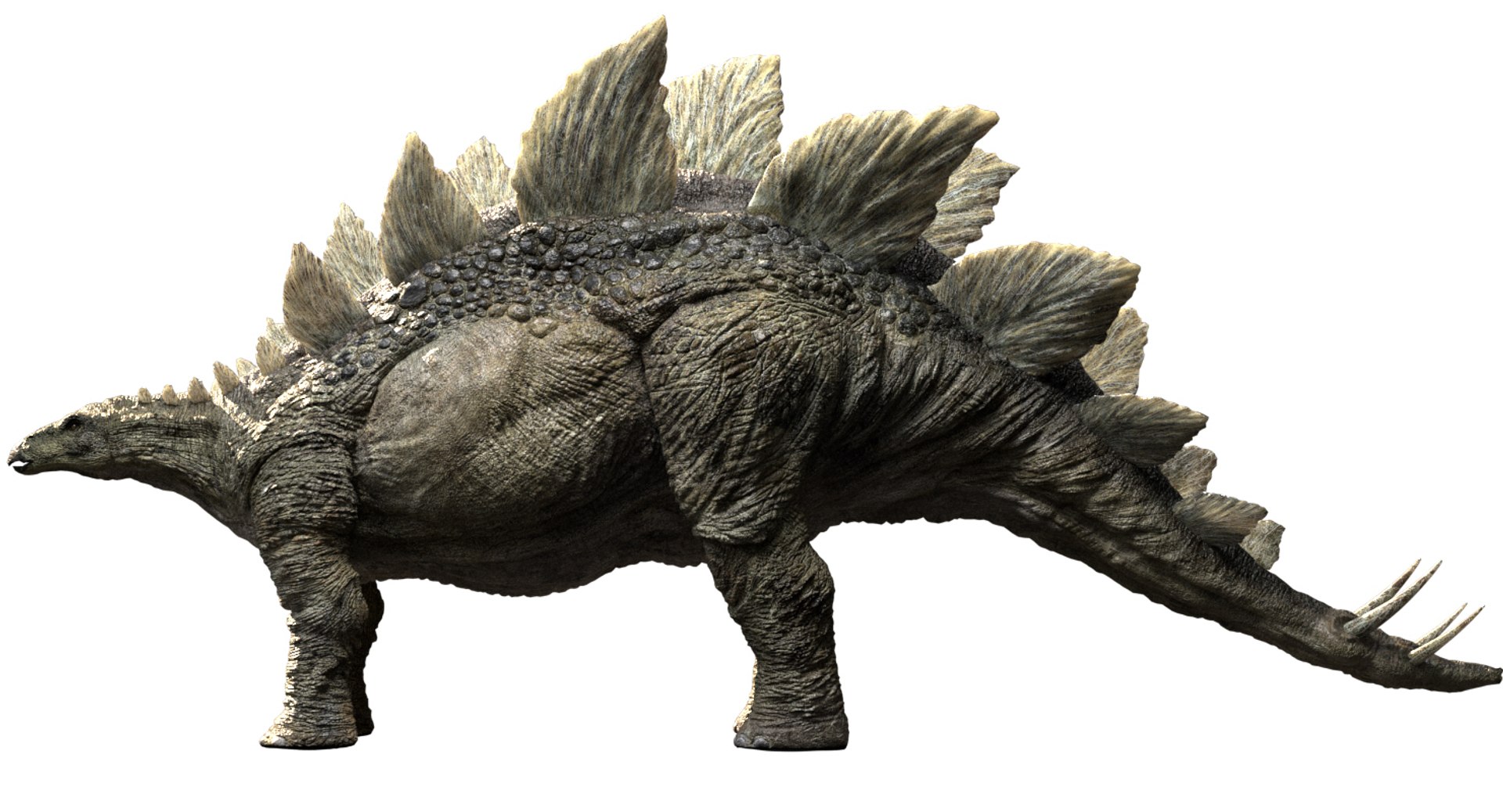 Stegosaurus Rigged Stego 3D Model - TurboSquid 1310852