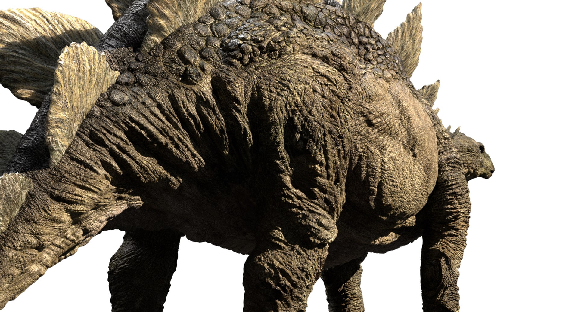 Stegosaurus Rigged Stego 3D Model - TurboSquid 1310852