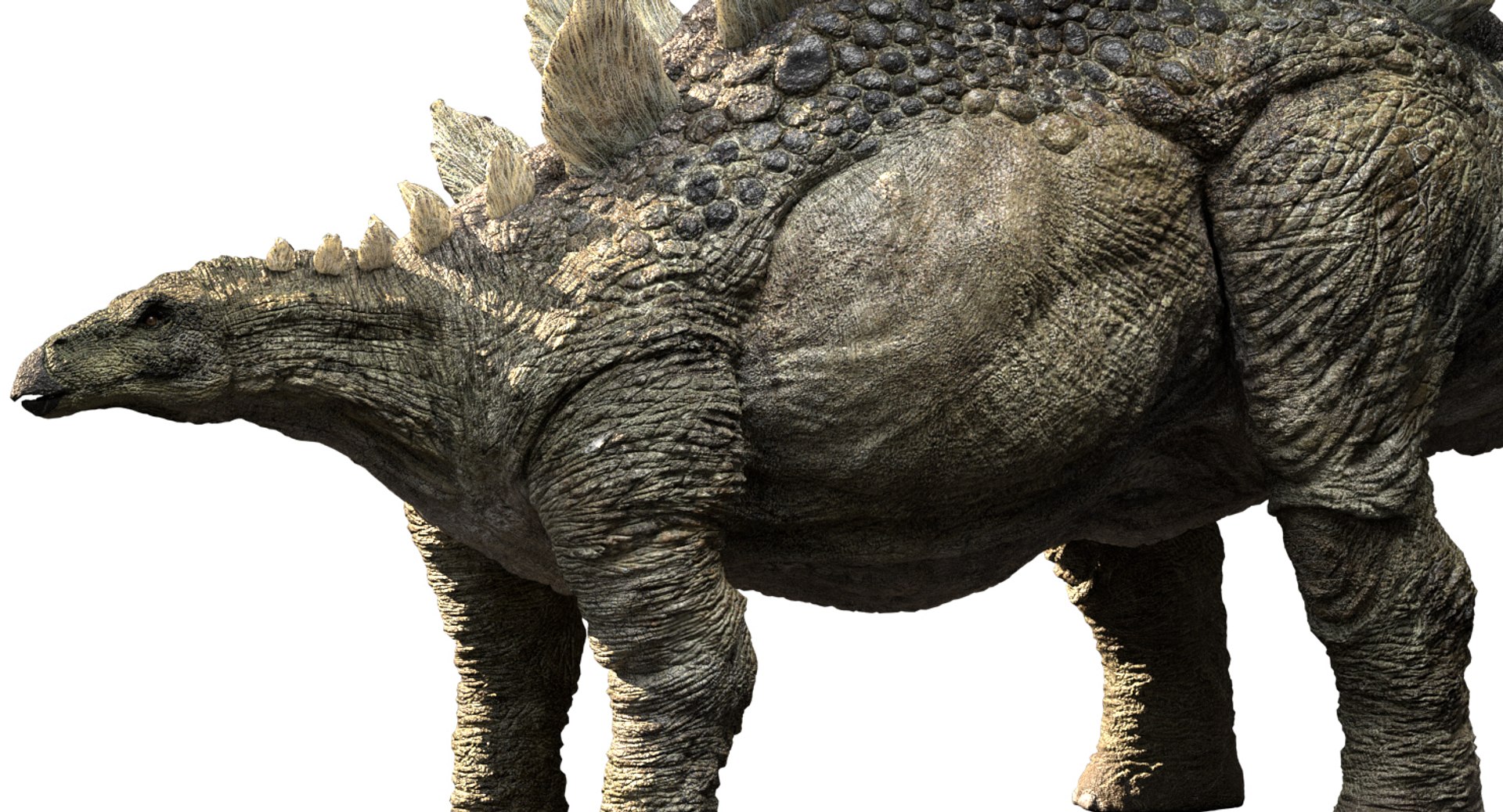 Stegosaurus Rigged Stego 3D Model - TurboSquid 1310852