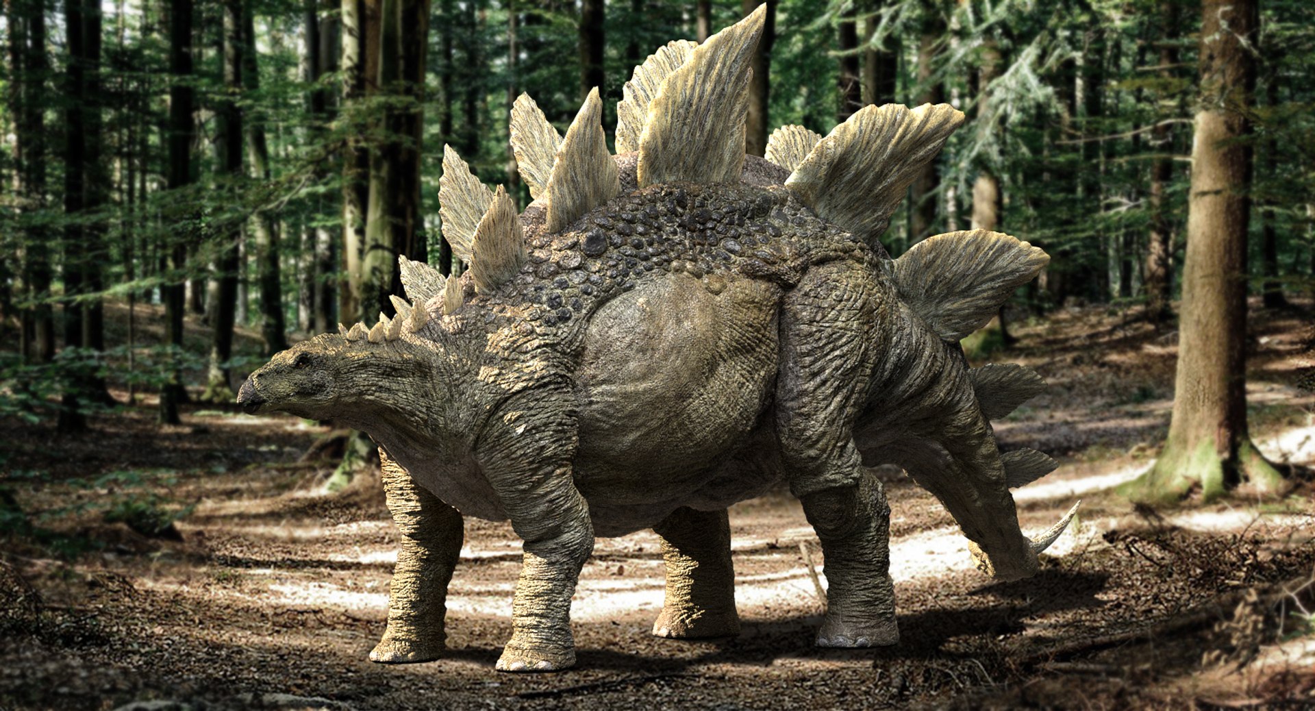 Stegosaurus rigged stego 3D model - TurboSquid 1310852