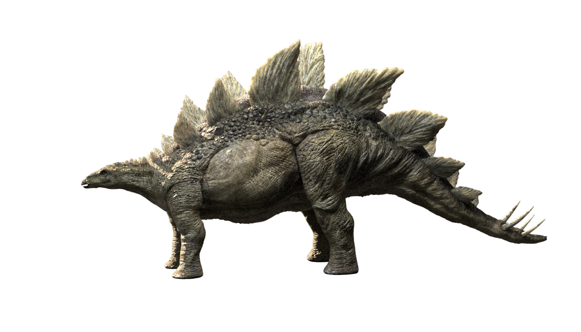 Stegosaurus Rigged Stego 3D Model - TurboSquid 1310852