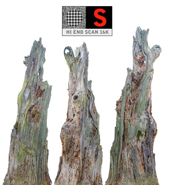 Free 3D Horror Models | TurboSquid