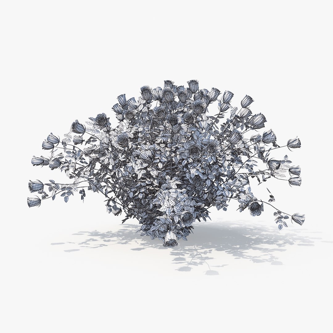 Rose Pack Bush Model - TurboSquid 1352618