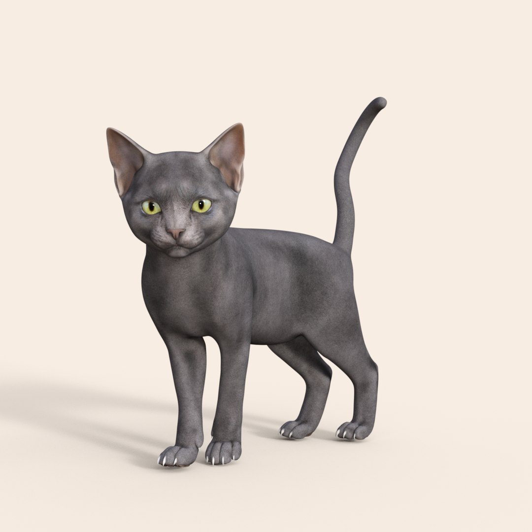 3D Cute Kitten Rigged - TurboSquid 2209313