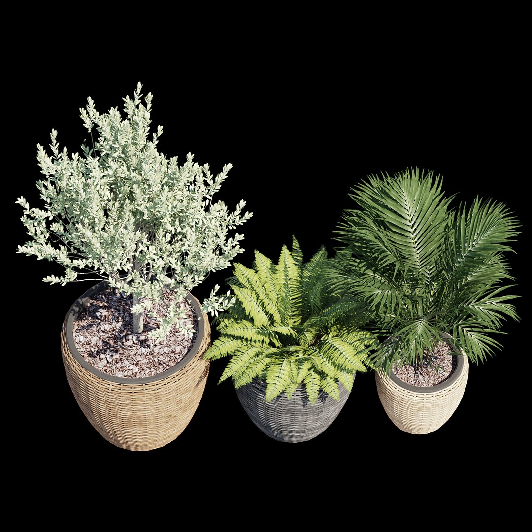 Powder 3D Model - TurboSquid 1811203