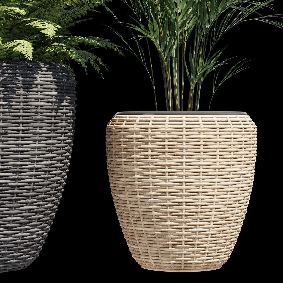 Powder 3D Model - TurboSquid 1811203